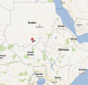 Acidente com Aeronave no Sudão Deixa 32 Mortos | TheCockpitSeat.com